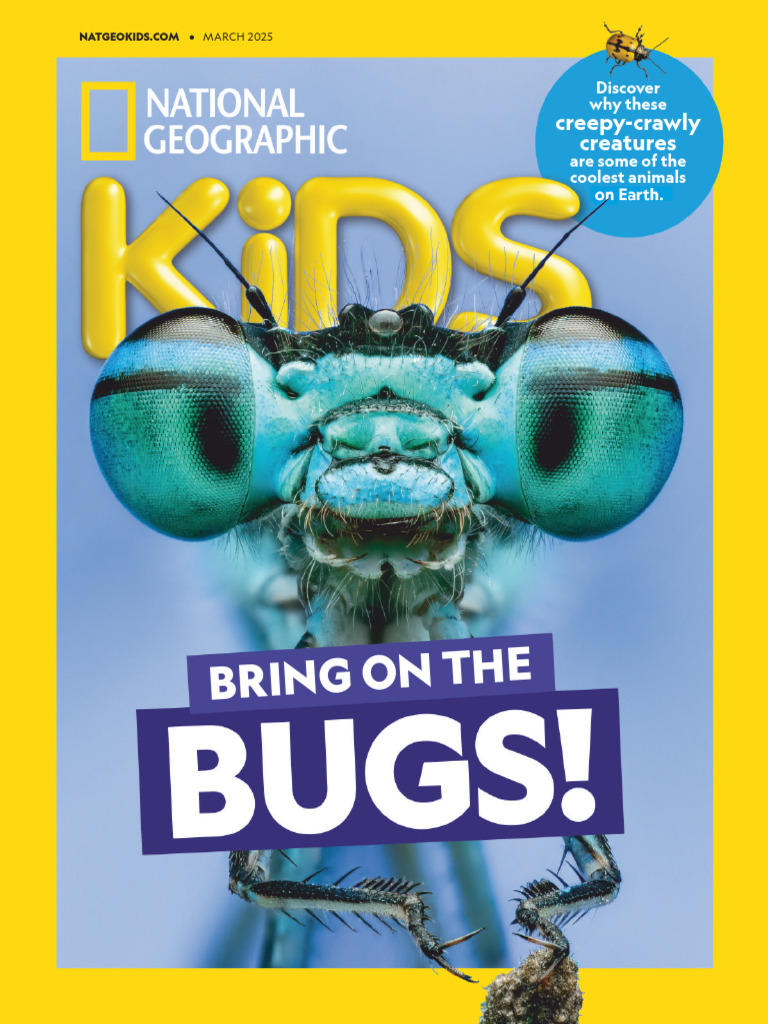 Incredible Insect Awards Unveiled | PDF | Insects | Dragonfly