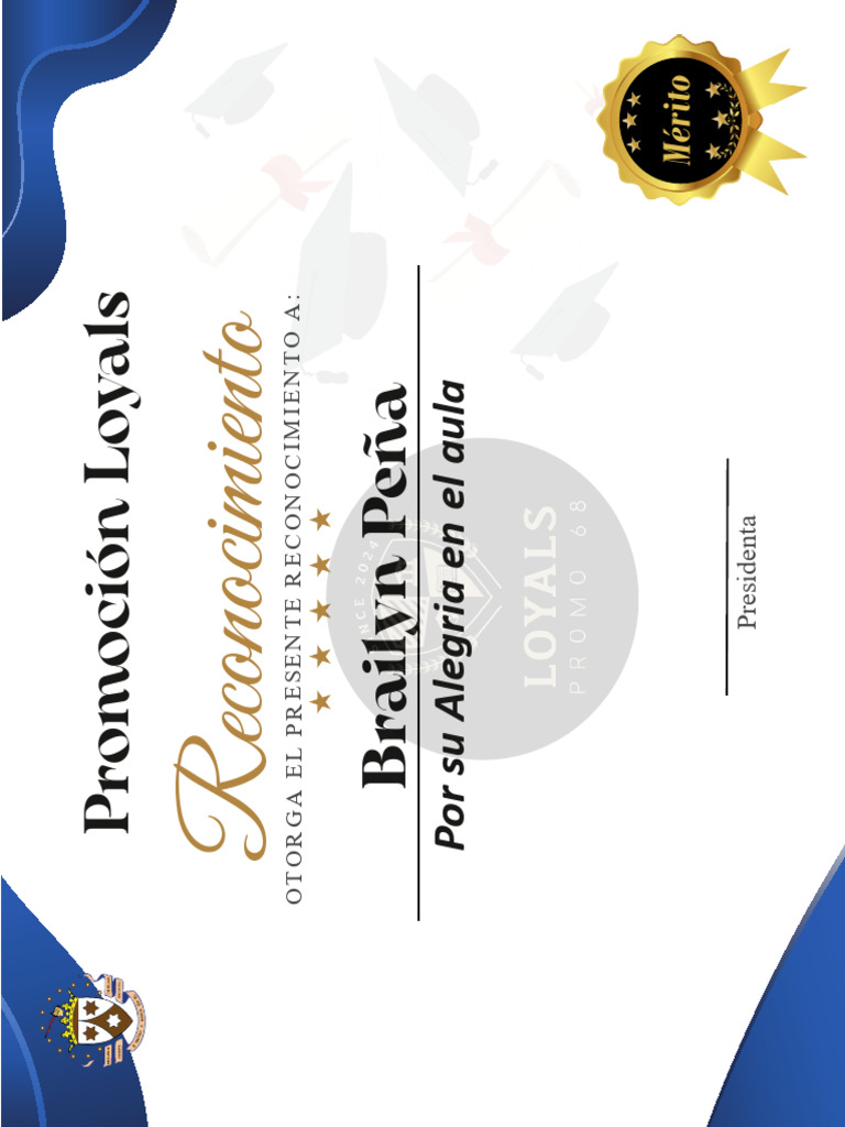 Brailyn | PDF