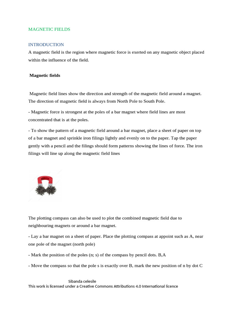 Physics - F 2 Magnets - Magnetic Fields | PDF