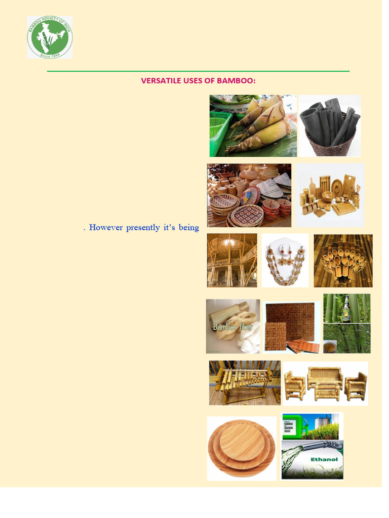 Versatile Uses of Bamboo | PDF