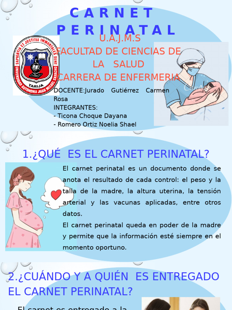 Carnet Perinatal Presentacion | PDF | Parto | Infantes