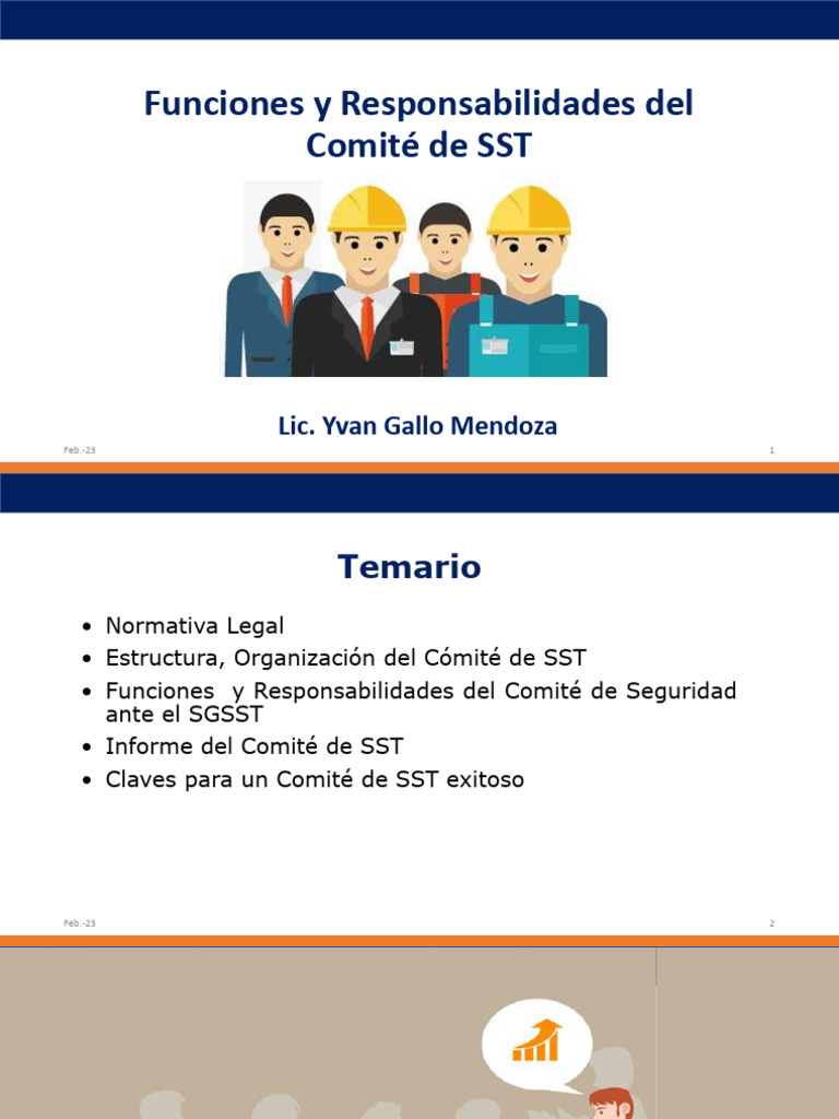 Funciones del Comité de SST según Ley 29783 | PDF | Seguridad y salud ...