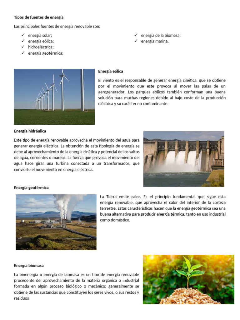 Tipos de Recursos Renovables | PDF | Energía renovable | Bioenergía
