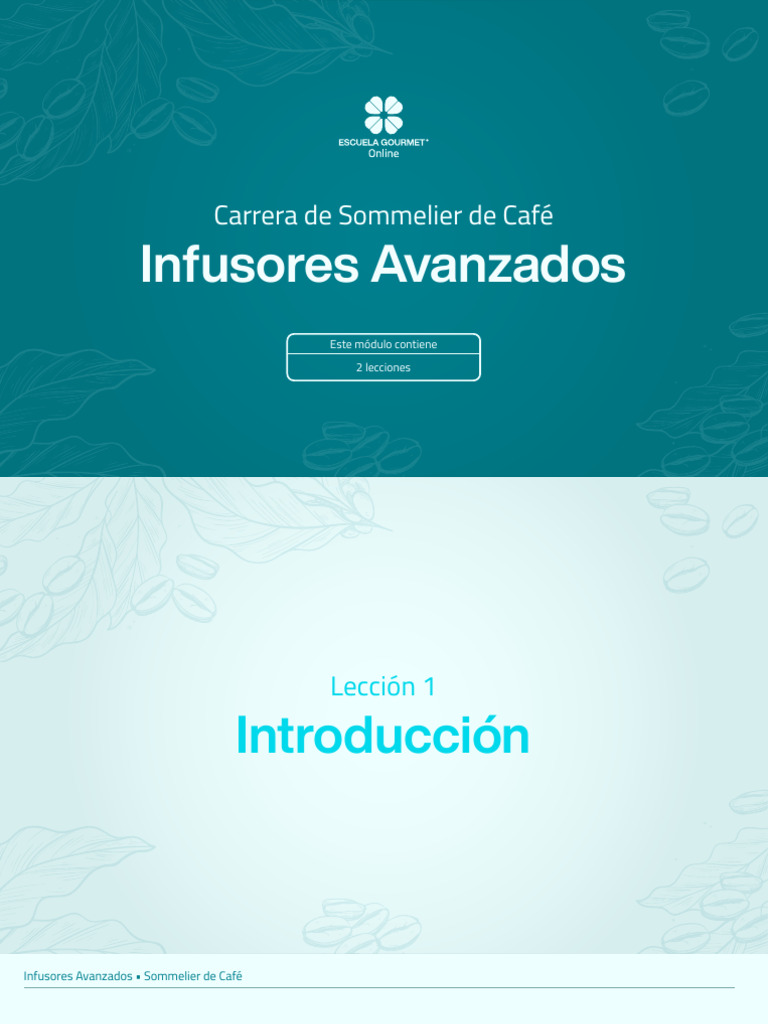 Infusores Avannzados | PDF | café | Agua
