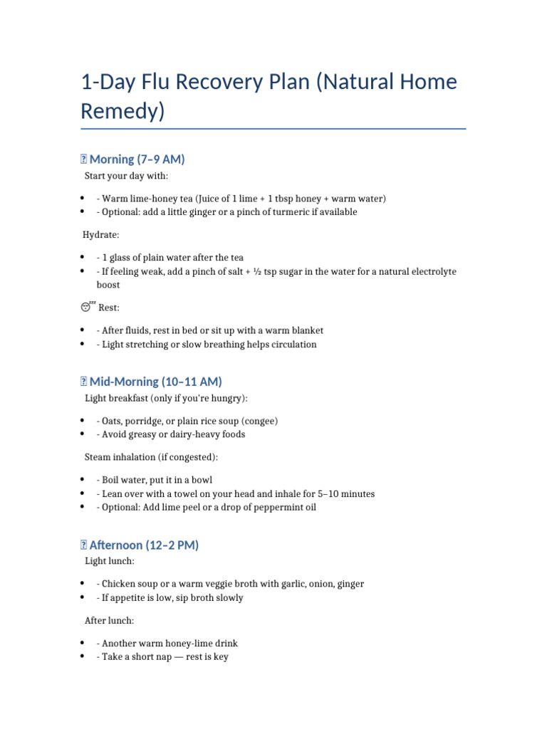Flu Recovery Home Remedy Plan | PDF