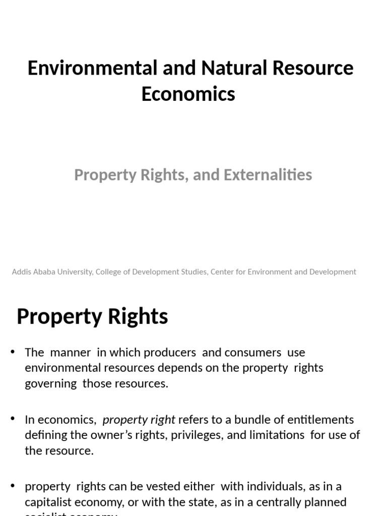 Lecture 4 - Property Rights, and Externatilities | PDF | Externality ...