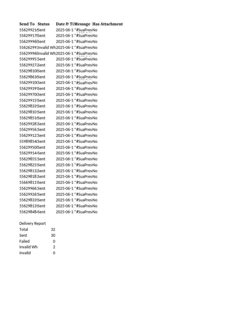 Delivery Report 1749674489752 | PDF