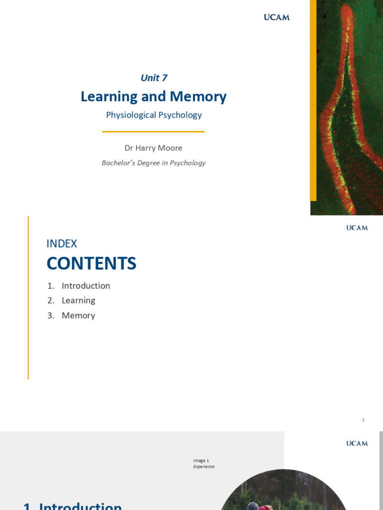 Understanding Learning and Memory | PDF | Classical Conditioning | Memory