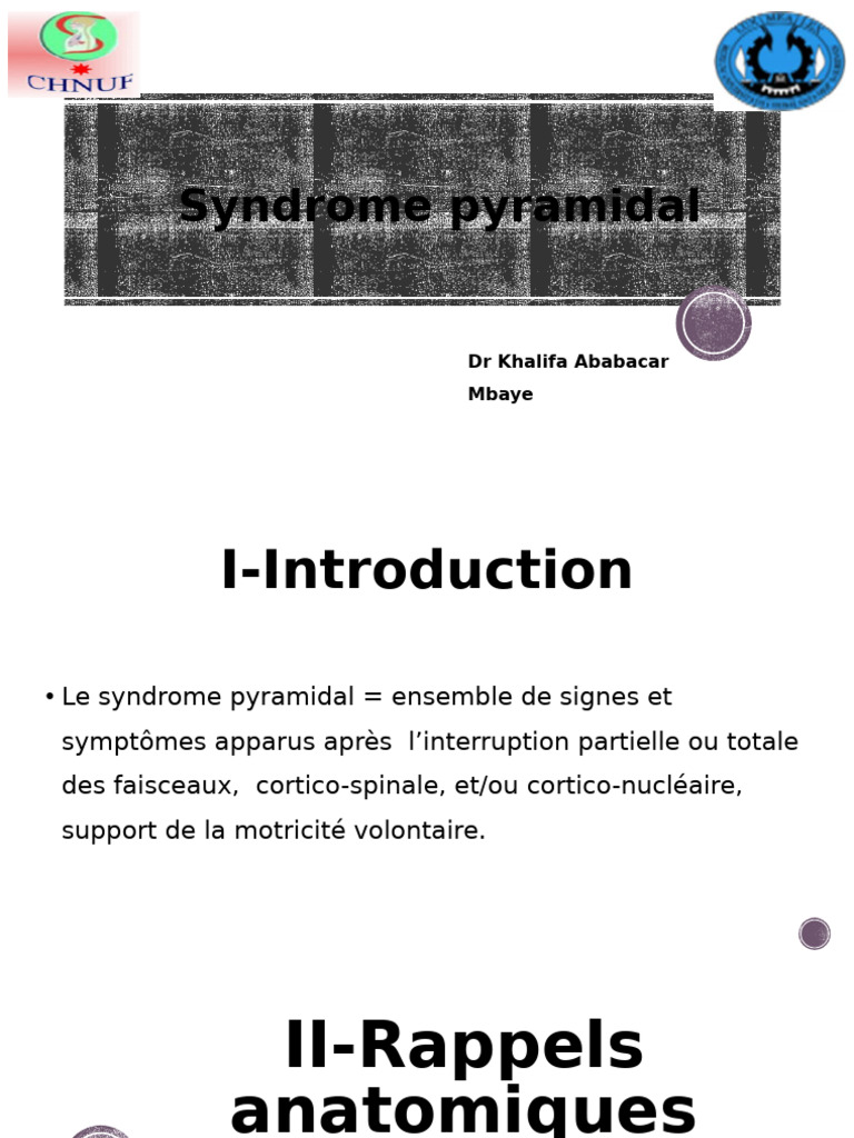 Syndrome Pyramidal 2018-2019 | PDF | Système nerveux | Anatomie humaine