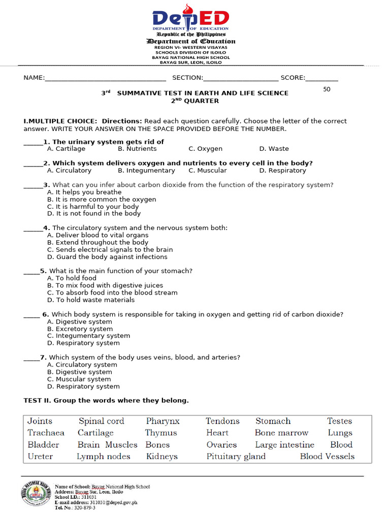 3rd Summative Test - Els | PDF