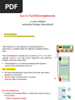 How To Read, Interpret and Analyze Gel Electrophoresis Results | PDF | Gel Electrophoresis ...