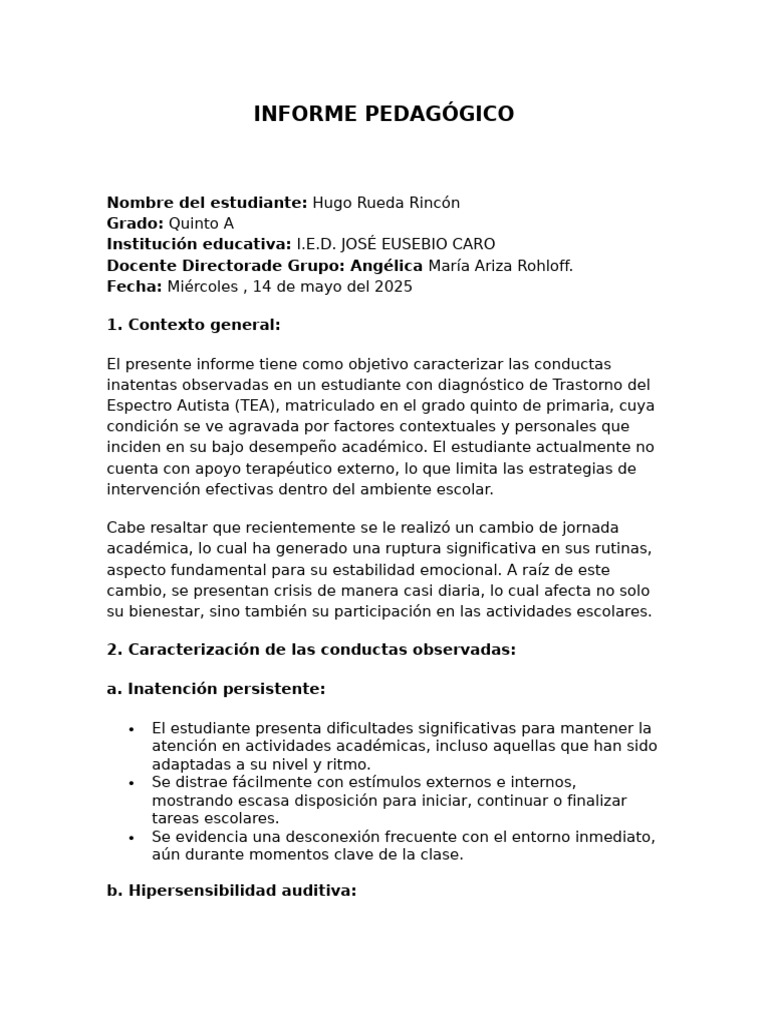Informe Pedagógico Hugo Rueda Rincón | PDF | Autismo | Las emociones