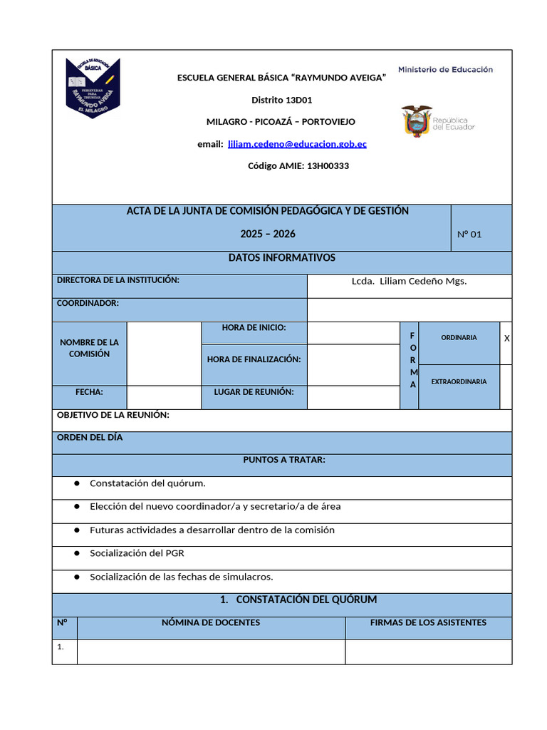 Formato Actas de Comisiones | PDF