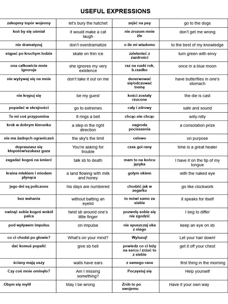 Useful Expressions List | PDF