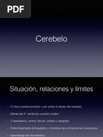 El Colículo Superior | PDF | Anatomía humana | Neurociencia