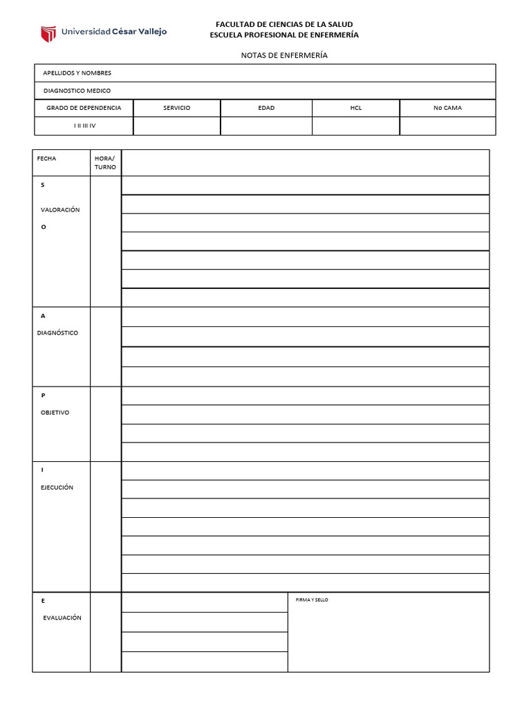 Formato SOAPIE en Enfermería | PDF