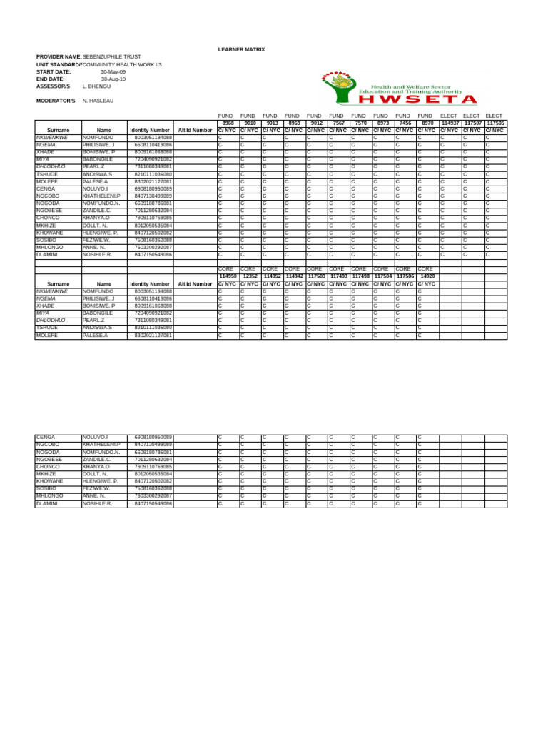 Learner Matrix Template | PDF