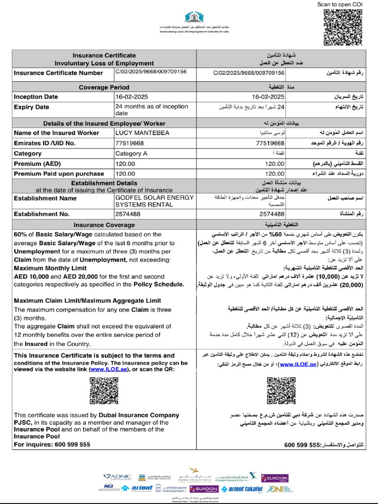 Insurance Lucy | PDF