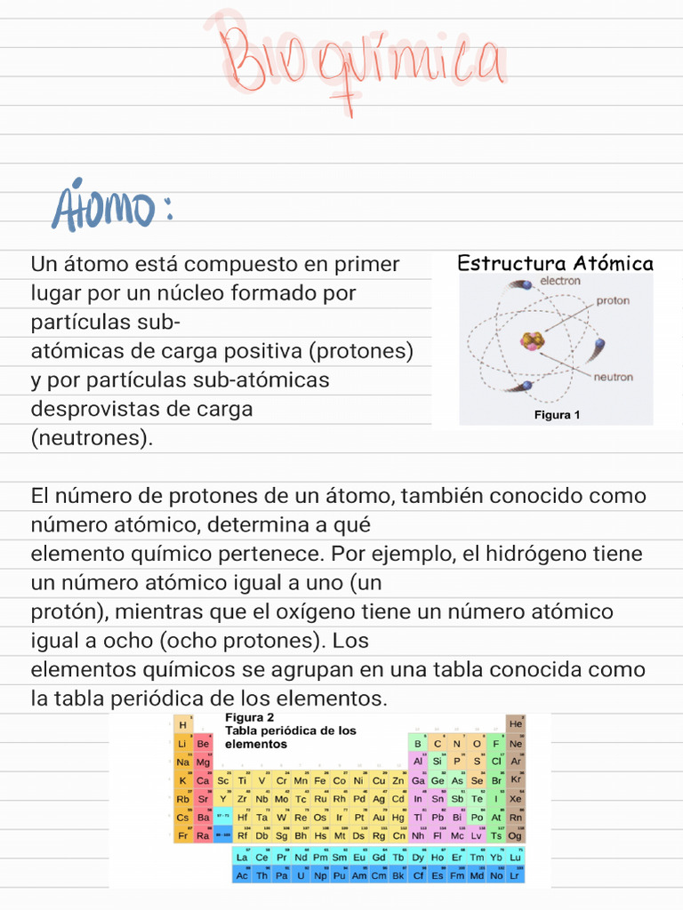 Resumen BQ - 240415 - 210927 | PDF