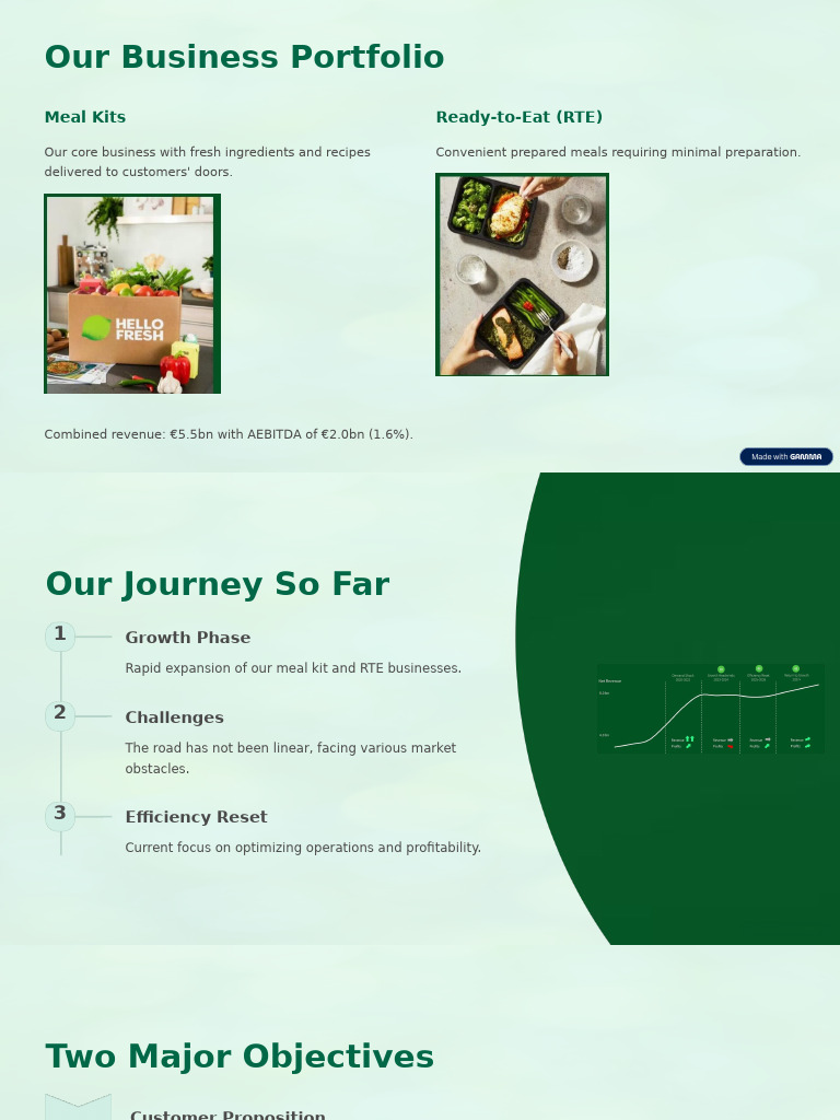 Our Business Portfolio | PDF