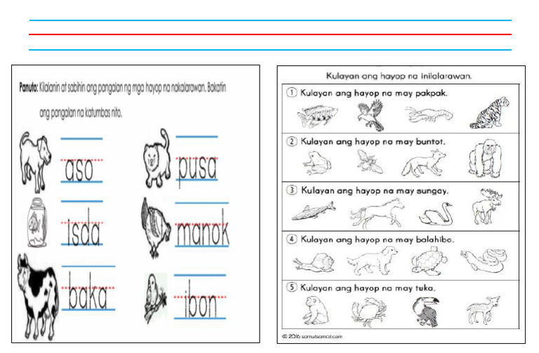 Ibat Ibang Uri NG Hayop | PDF
