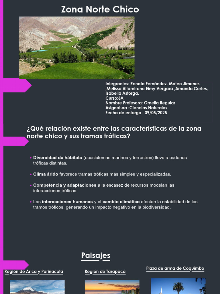 Zona Norte Chico Enviar - PPTX - 20250510 - 121054 - 0000.pdf ...