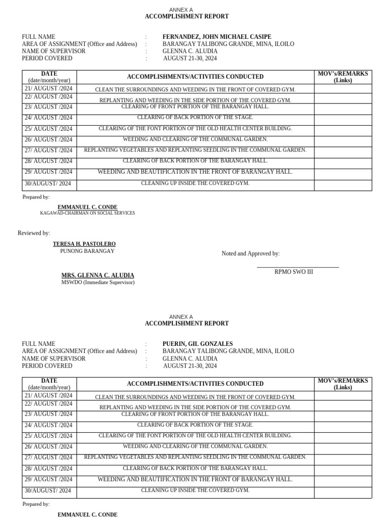 Tal. Grande Accomplishment Report For PWD | PDF