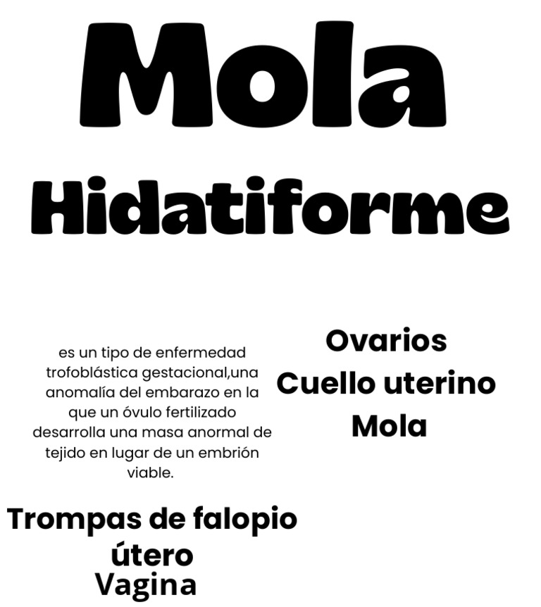 Mola | PDF