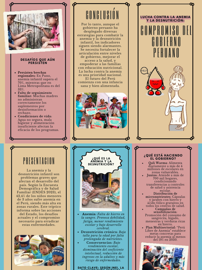 Triptico DPCC | PDF | Anemia | Perú