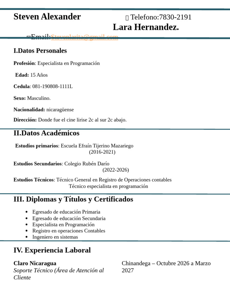 Curriculum Steven | PDF