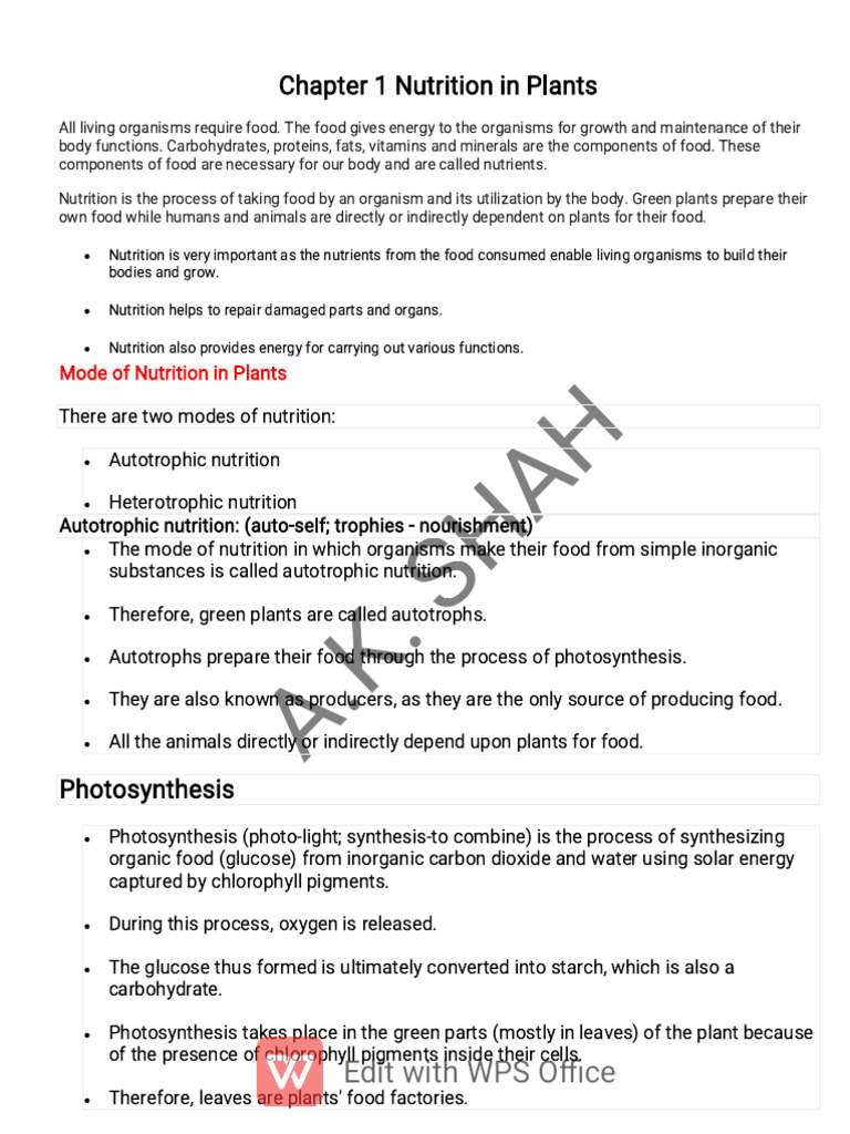 Rafflesia's Nutritional Modes Explained | PDF | Nutrition | Diet ...