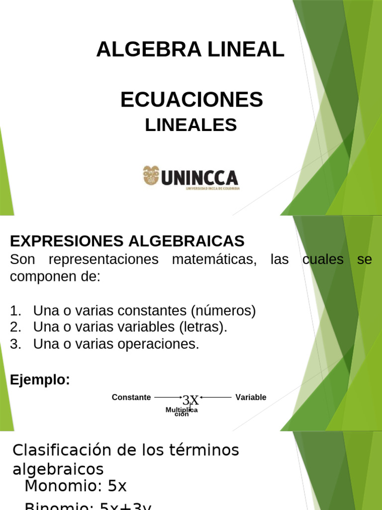 Ecuaciones Lineales | PDF | Análisis numérico | Matemática Elemental