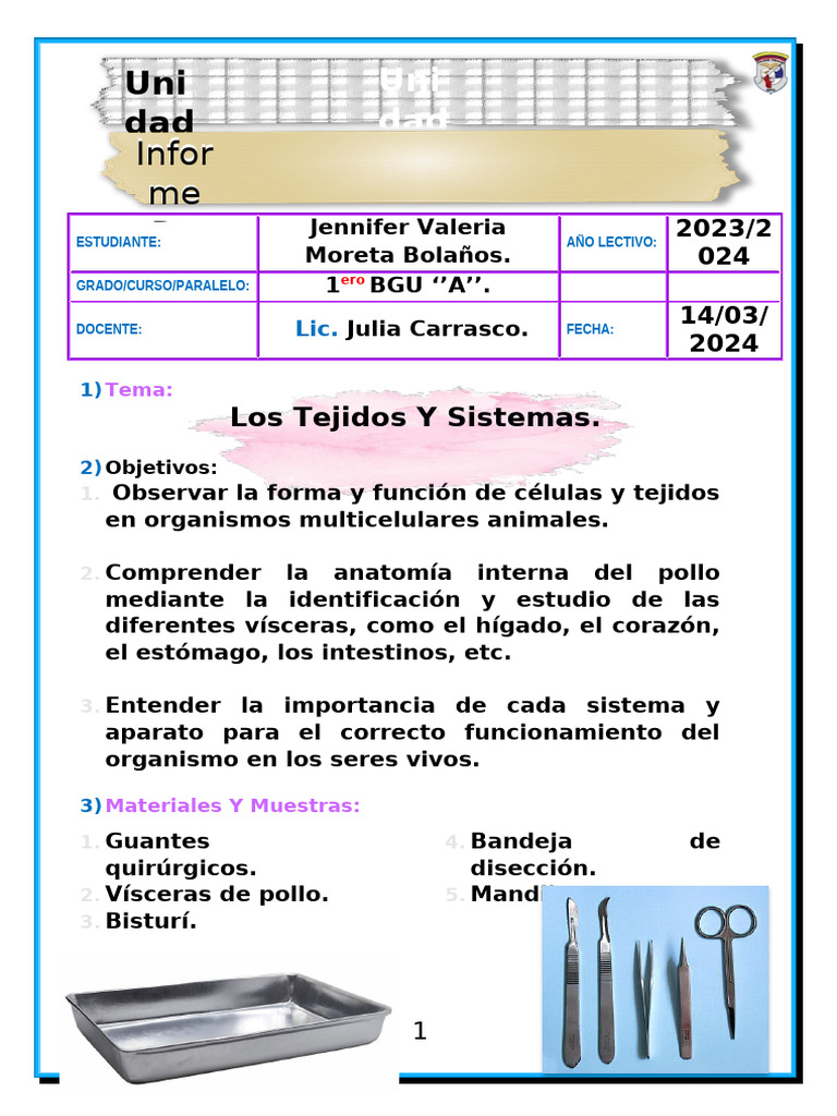 .Informe de Laboratorio Biología. 1ero Bgu ''A''. Valeria Moreta | PDF | Digestión | Pulmón