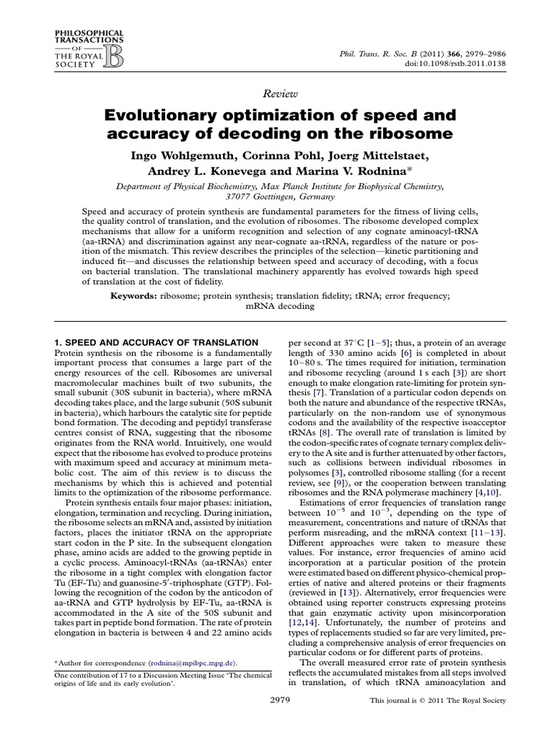 Evolutionary Optimization of Speed | PDF | Translation (Biology) | Ribosome