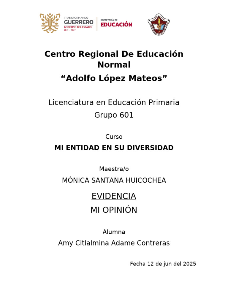 Opinion Sobre Frase. Amy Adame | PDF