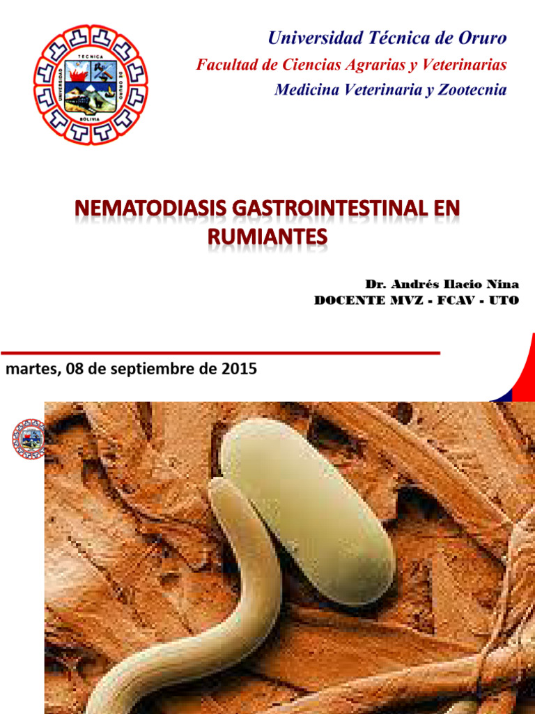 Nematodiasis Gastrointestinal | PDF | Diarrea | Especialidades Medicas