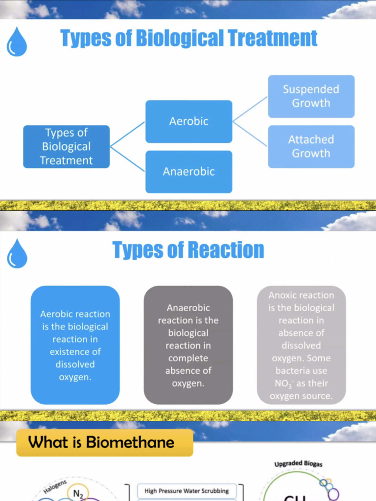 Bio Methane | PDF