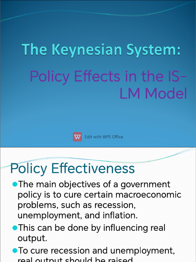 Policy Effectiveness | PDF