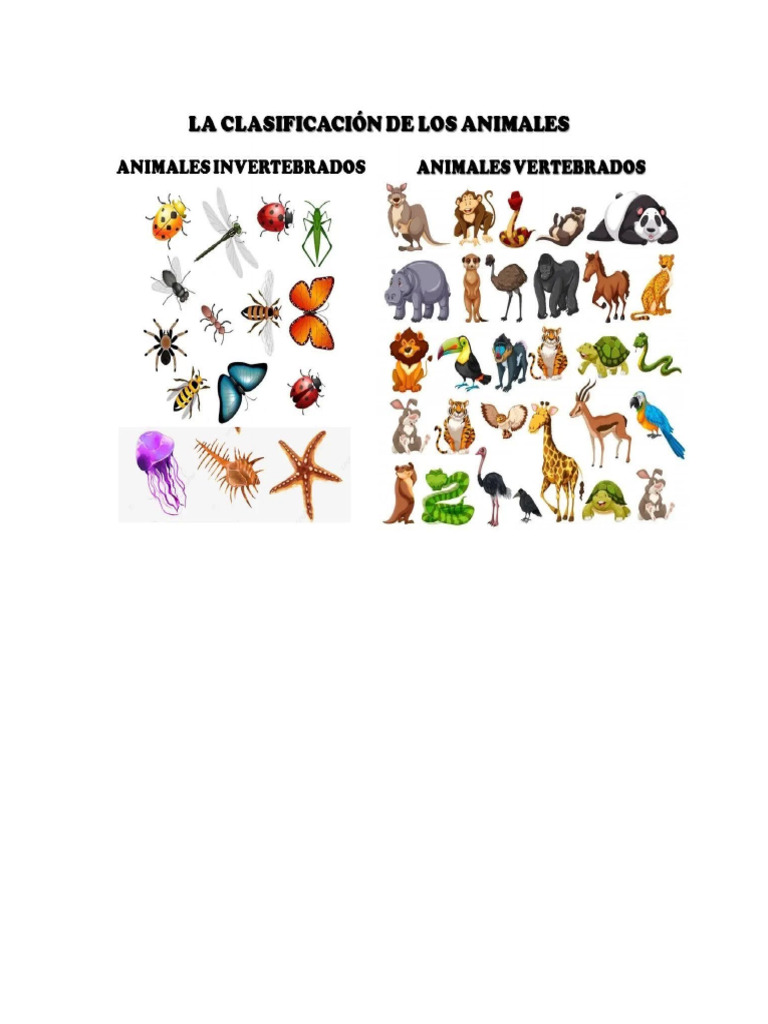 Clasificaciòn de Los Animales | PDF