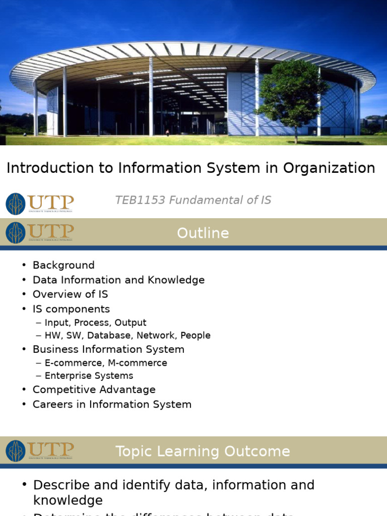 Overview of Information Systems in Organizations | PDF | Computer ...