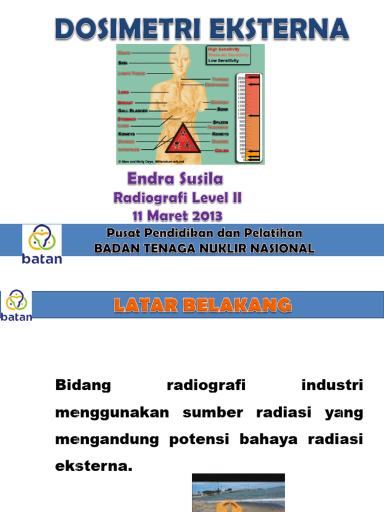 Panduan Lengkap Dosimetri Eksterna | PDF