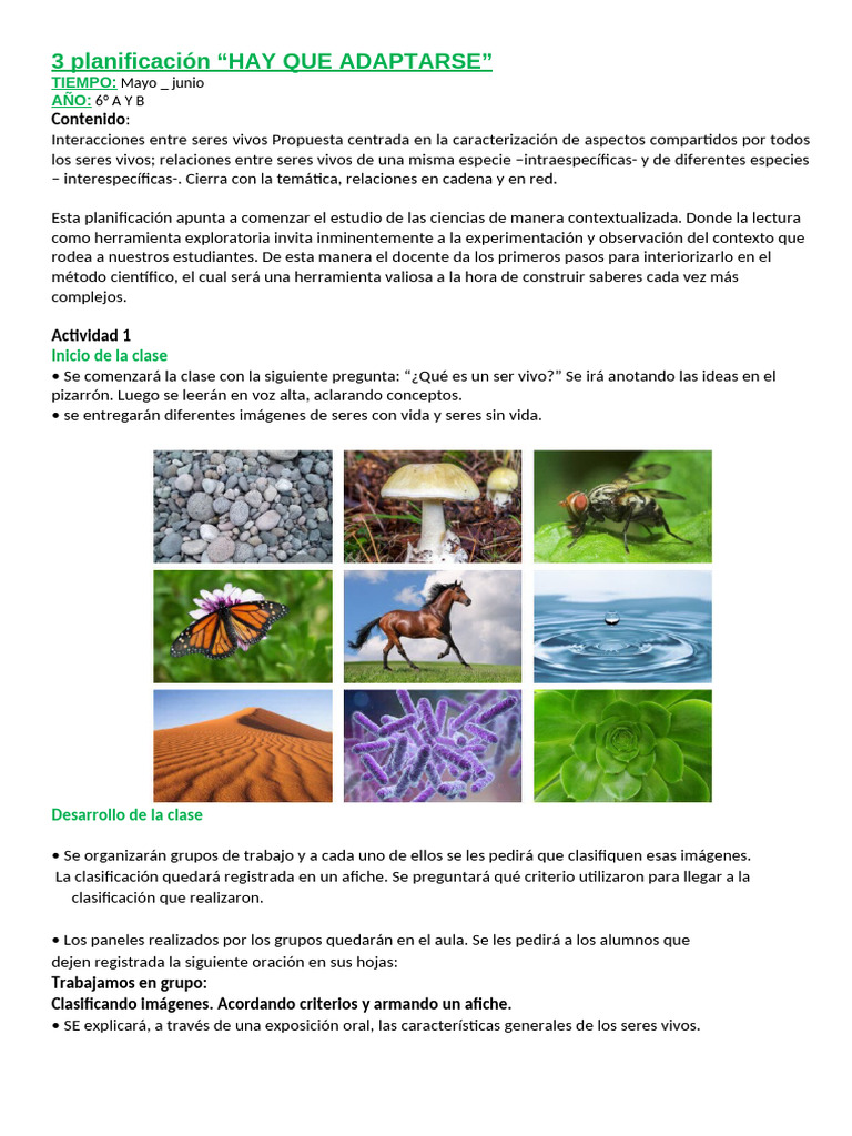 3 Plan Cs. Nat. Interaccion Entre Los Seres Vivos | PDF | Aves | Pluma