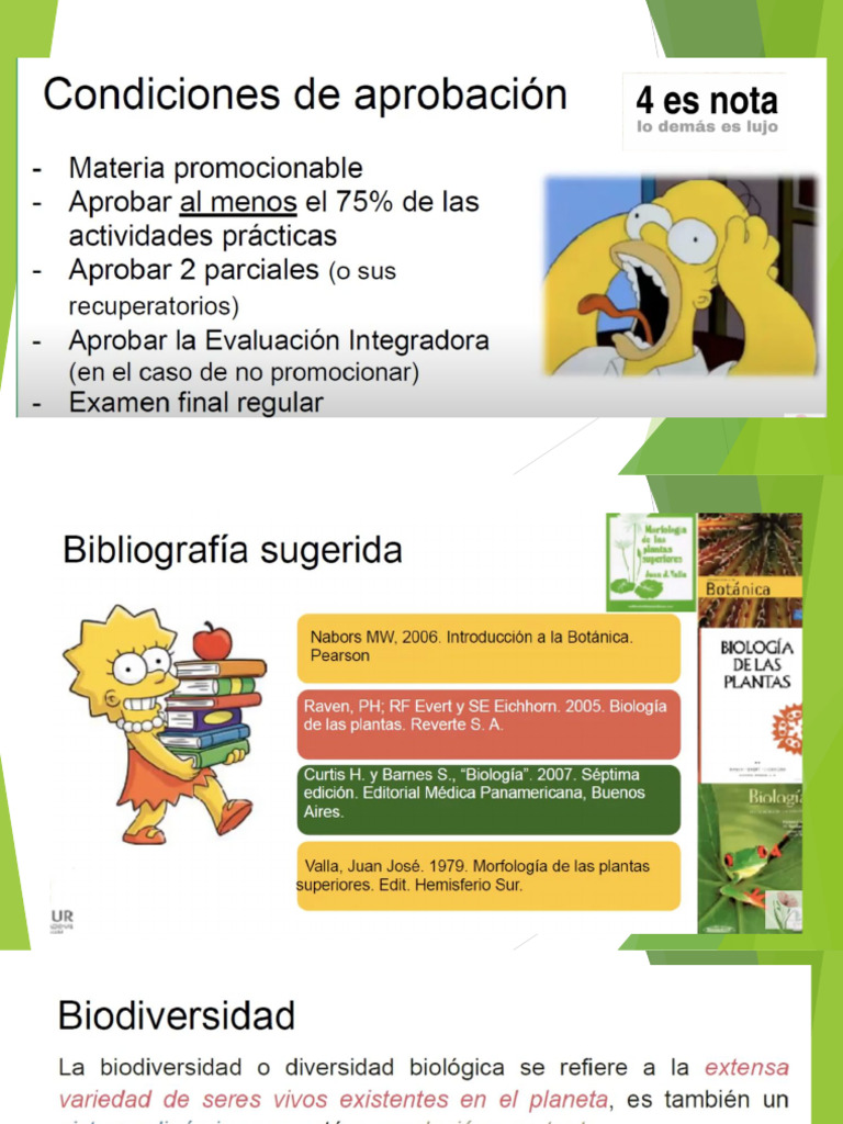 Botanica Clase1 | PDF