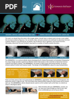 AAE Endo Diagnosis 230611 113009 | PDF | Business
