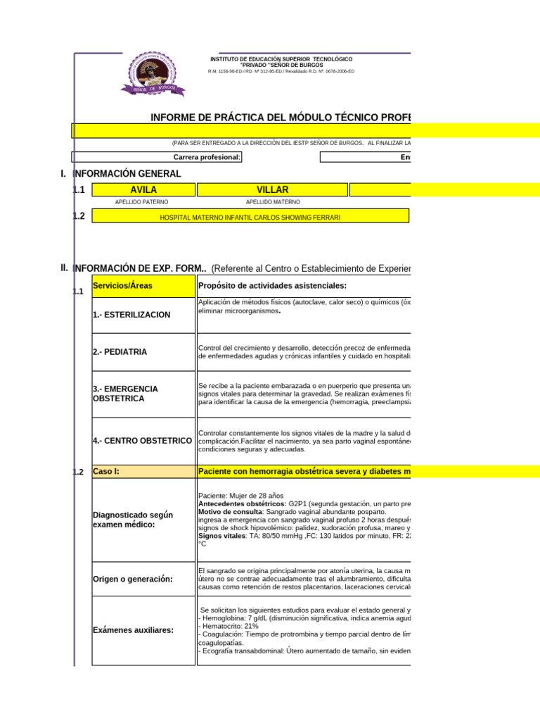 Modelo de Excel MTP Enfermeria | PDF | Medicina CLINICA | Enfermedades ...