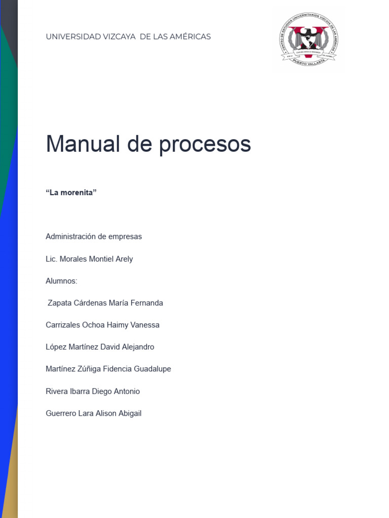 Manual de Procesos | PDF