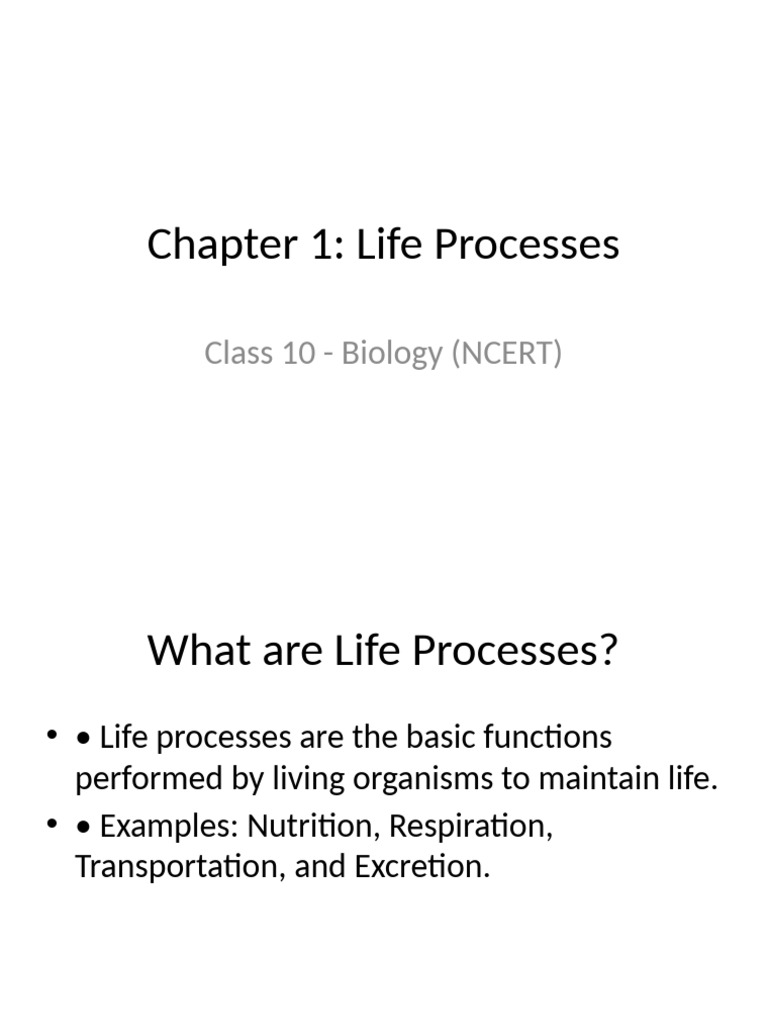 Life Processes in Class 10 Biology | PDF