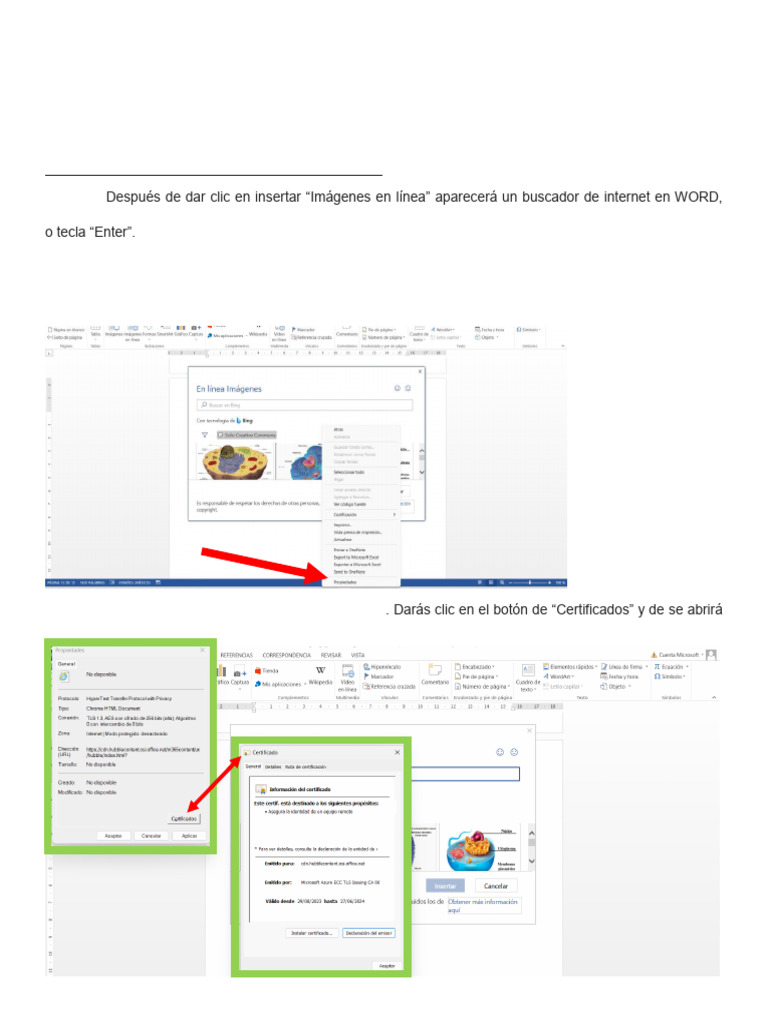 Citar Imágenes en Word y Creative Commons | PDF | Estilo apa | Ventana ...