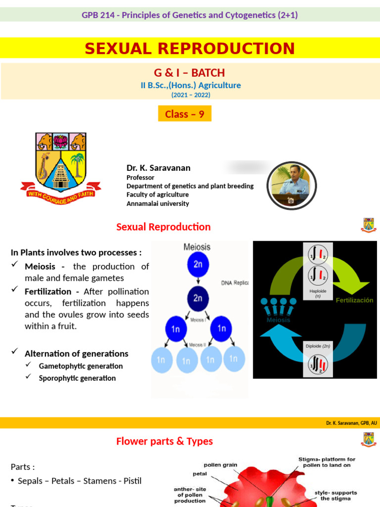 9 - GPB 214 - Sexual Reproduction | PDF | Flowers | Sexual Reproduction