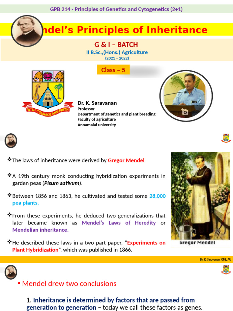 5 - GPB 214 - Mendels Principle of Inheritance | PDF | Dominance (Genetics) | Heredity